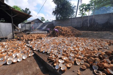 What is Copra Used For?